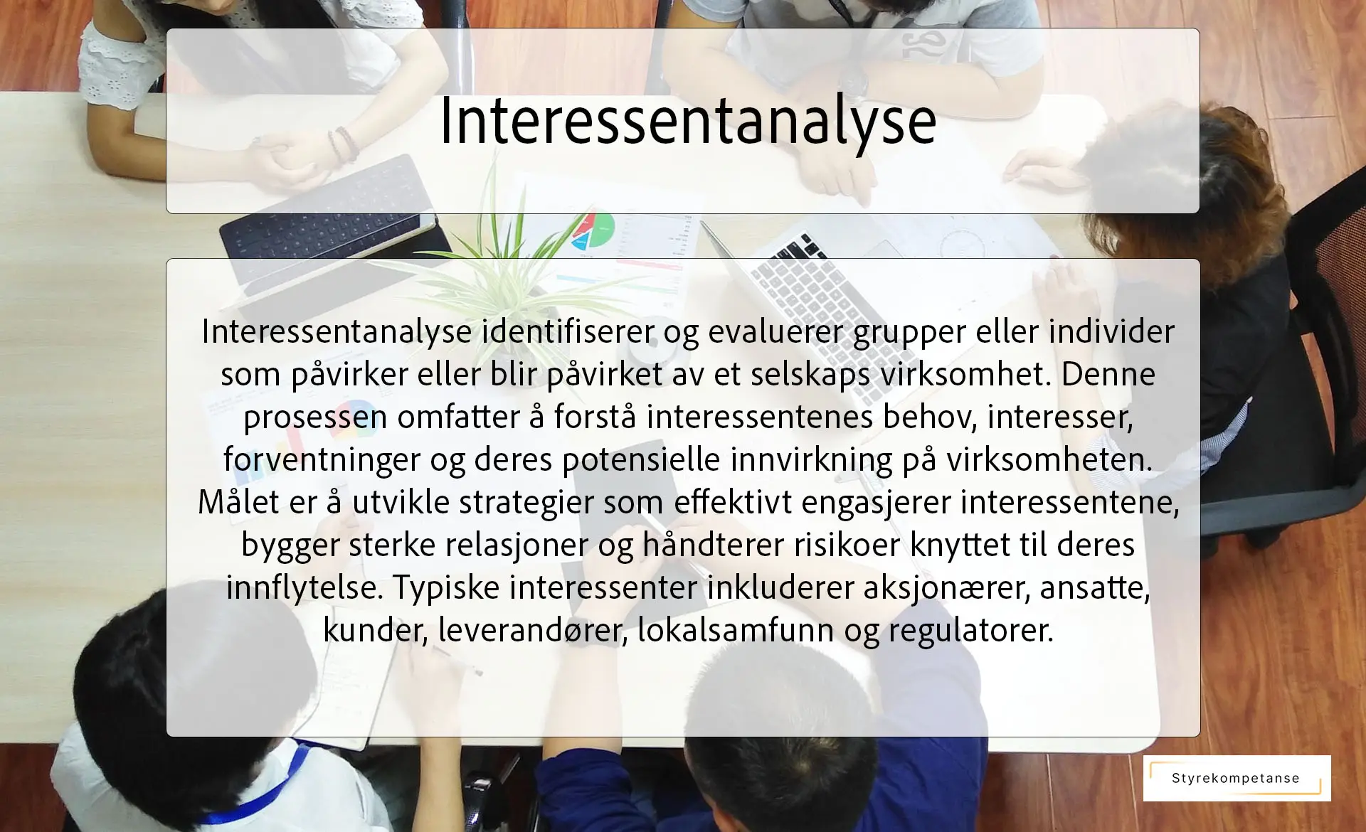 Interessentanalyse - Styrekompetanse