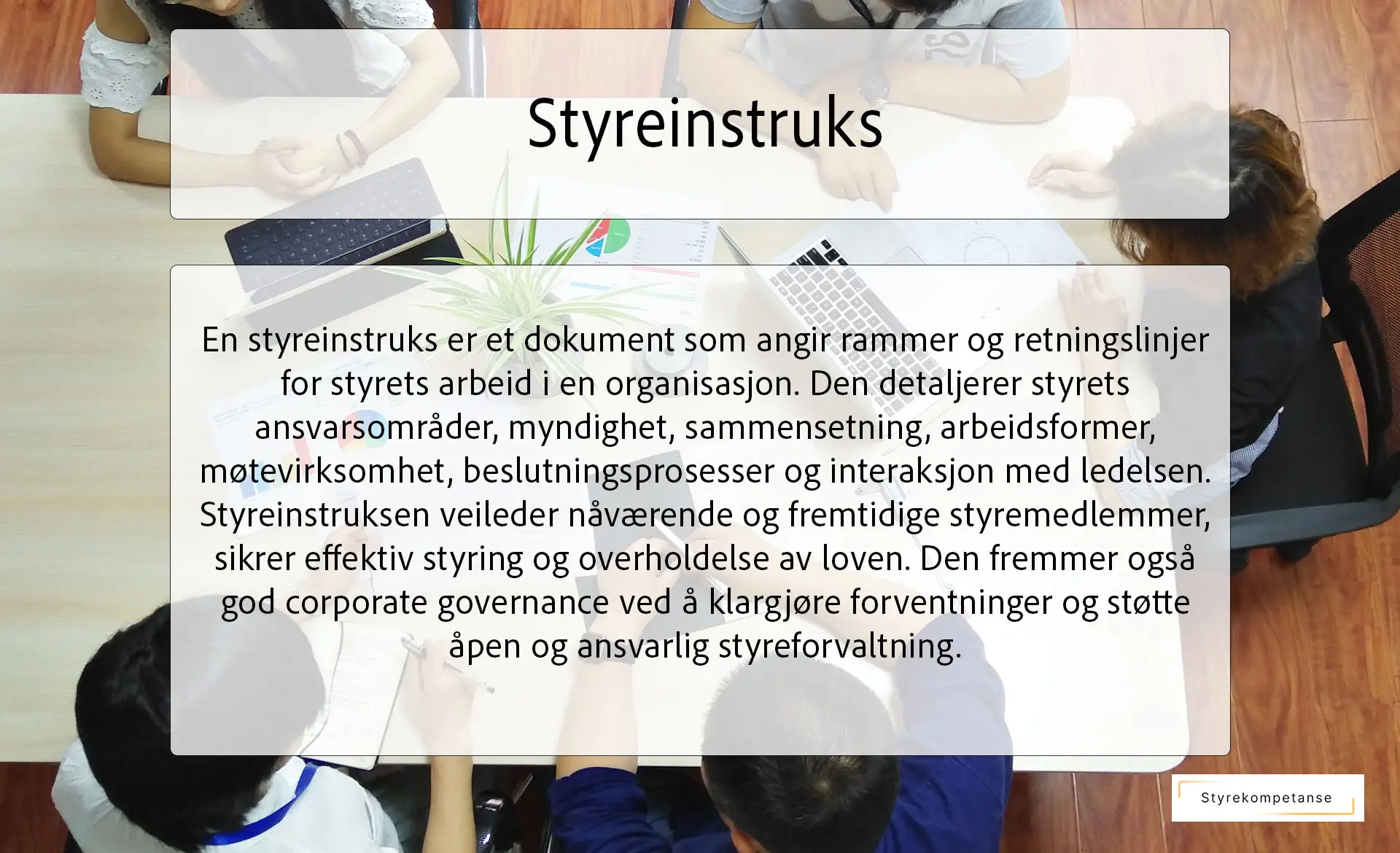 Styreinstruks - Styrekompetanse