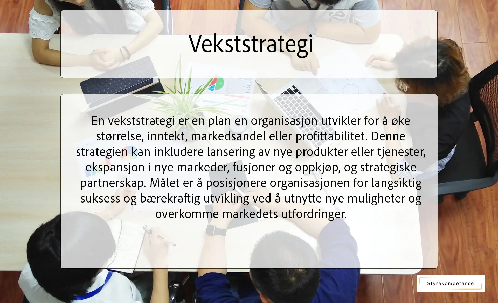 Vekststrategi - Styrekompetanse